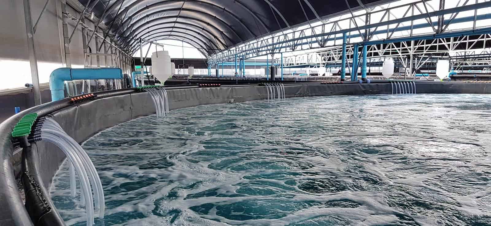 Resirkulering - Akvakultursystemer RAS | MAT-KULING